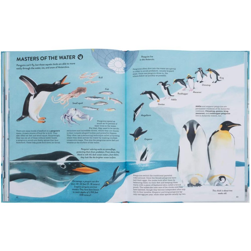 Penguins and Polar Bears - Teşvikiye Patika Kitabevi