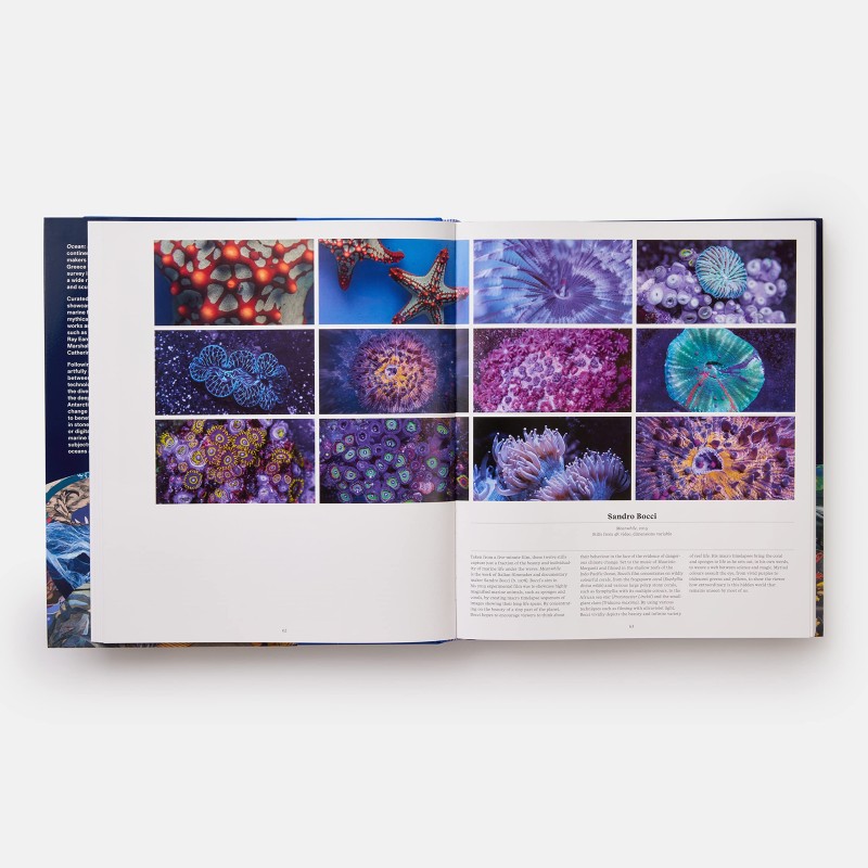 Ocean, Exploring the Marine World - Teşvikiye Patika Kitabevi
