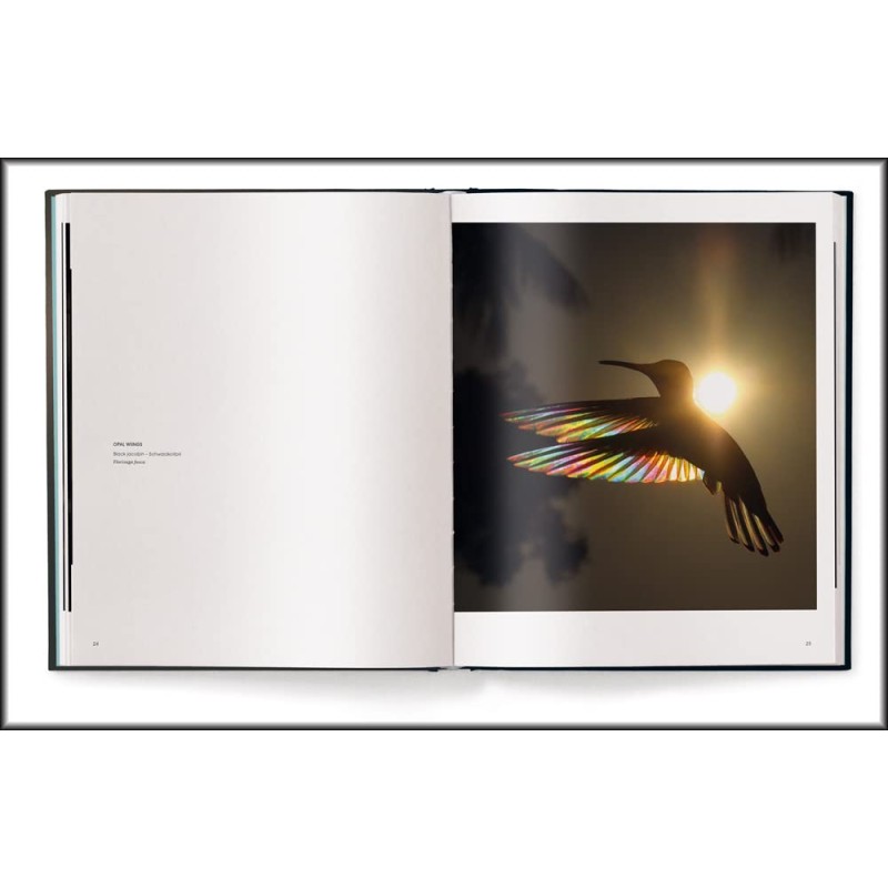 Birds: Poetry in the Sky - Teşvikiye Patika Kitabevi