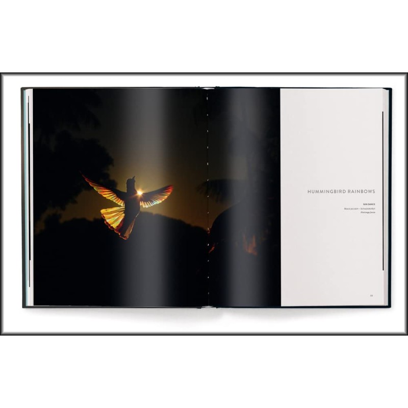 Birds: Poetry in the Sky - Teşvikiye Patika Kitabevi