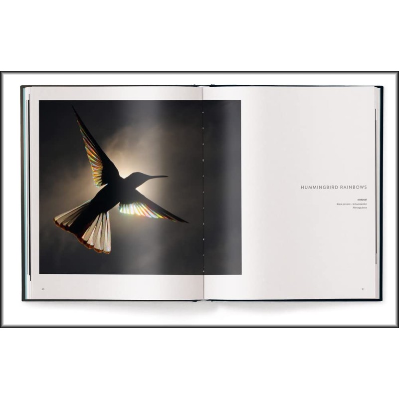 Birds: Poetry in the Sky - Teşvikiye Patika Kitabevi