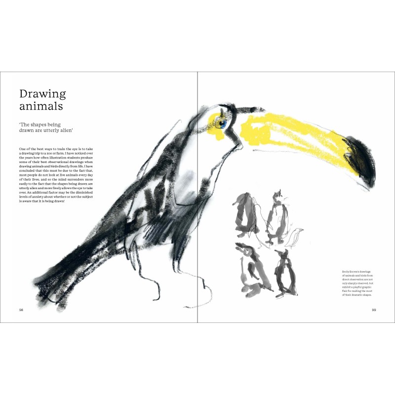 Drawing for Illustration - Teşvikiye Patika Kitabevi