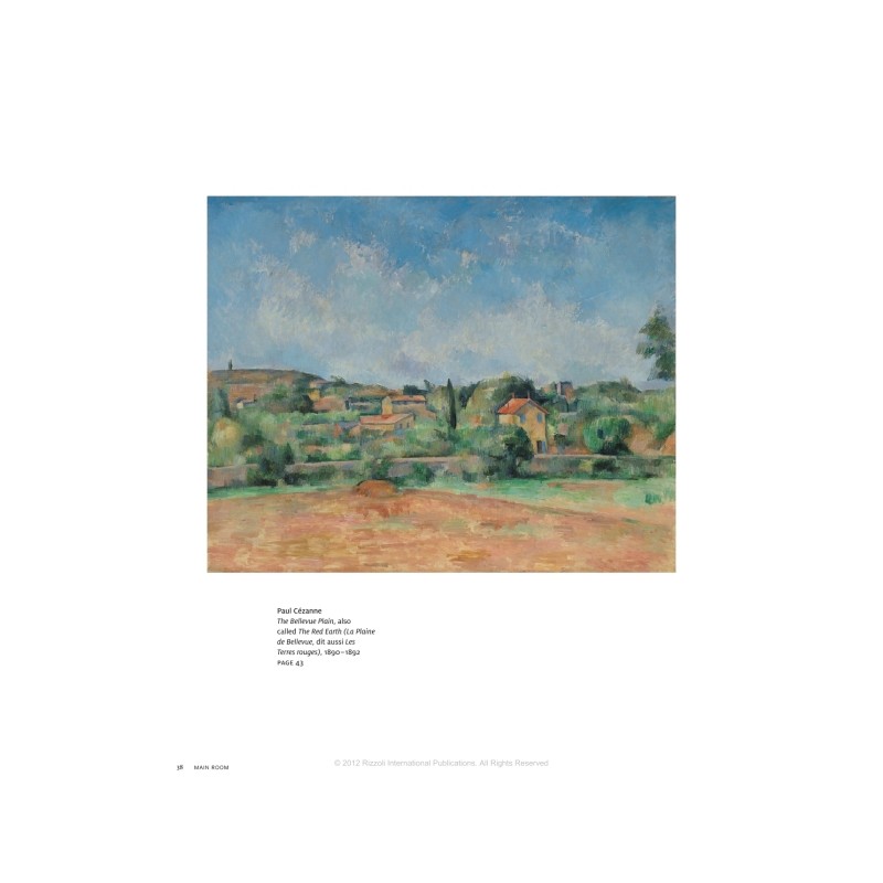 The Barnes Foundation: Masterworks - Teşvikiye Patika Kitabevi