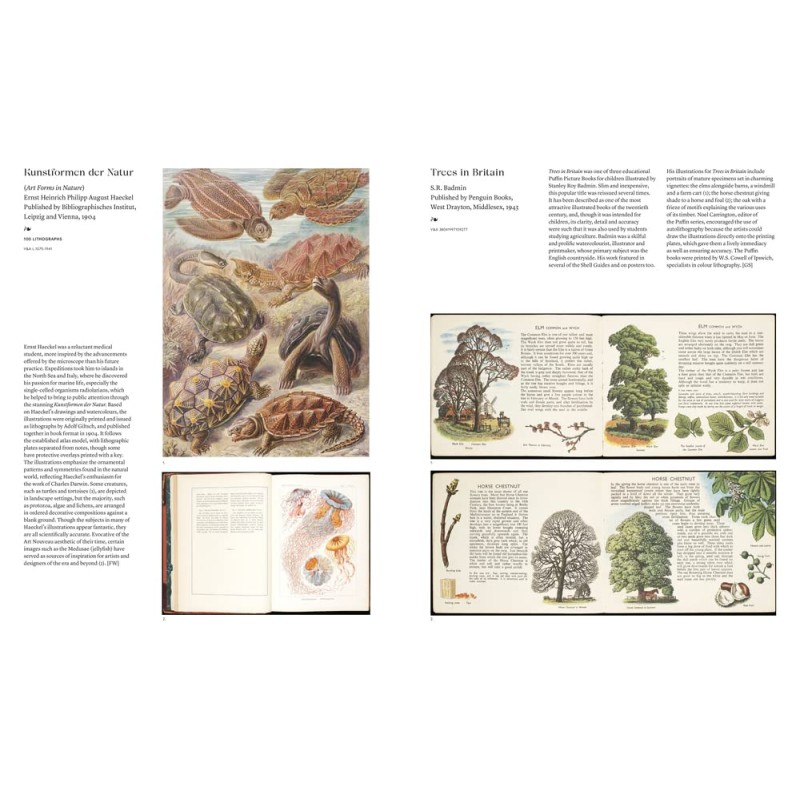 The Art of the Illustrated Book - Teşvikiye Patika Kitabevi
