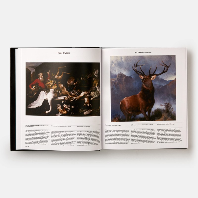 Animal: Exploring the Zoological World - Teşvikiye Patika Kitabevi