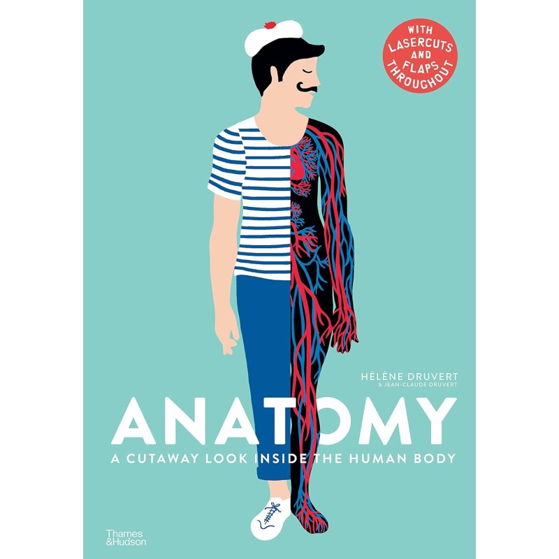 Anatomy: A Cutaway Look Inside the Human Body - Teşvikiye Patika Kitabevi