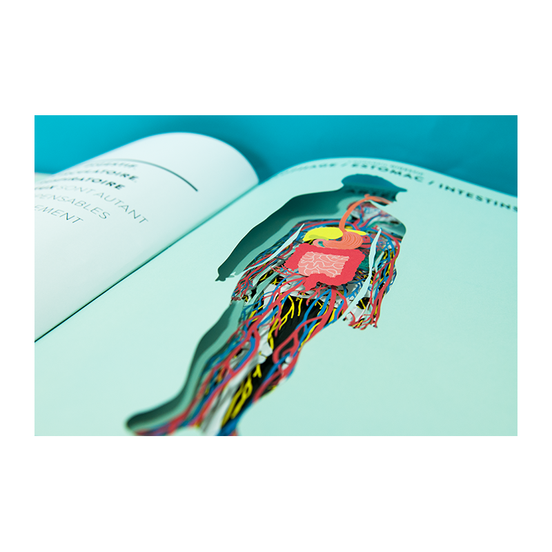 Anatomy: A Cutaway Look Inside the Human Body - Teşvikiye Patika Kitabevi