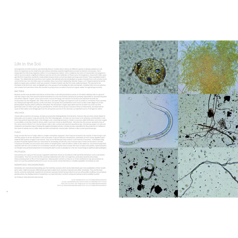 Soil to Table - Teşvikiye Patika Kitabevi