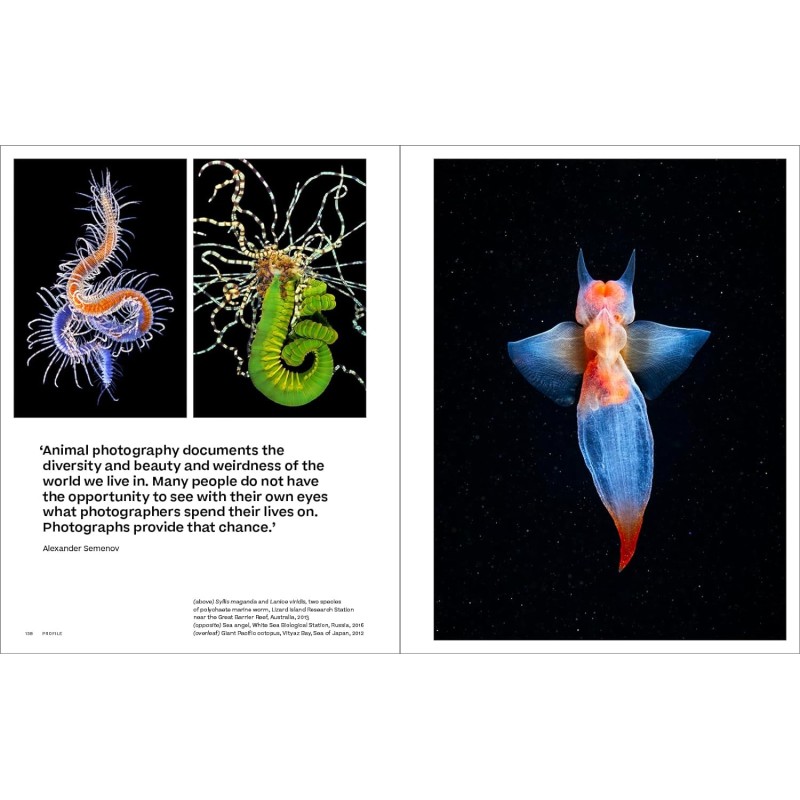 Why We Photograph Animals - Teşvikiye Patika Kitabevi