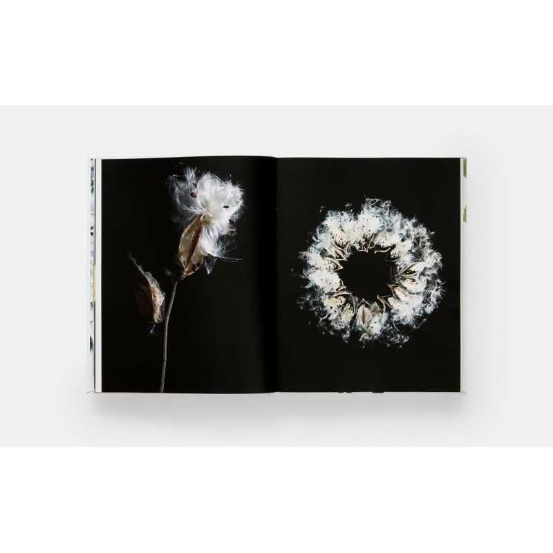 STILL: The Art of Noticing - Teşvikiye Patika Kitabevi