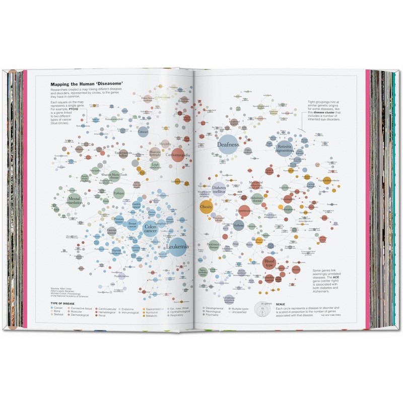 Understanding the World. The Atlas of Infographics - Teşvikiye Patika ...