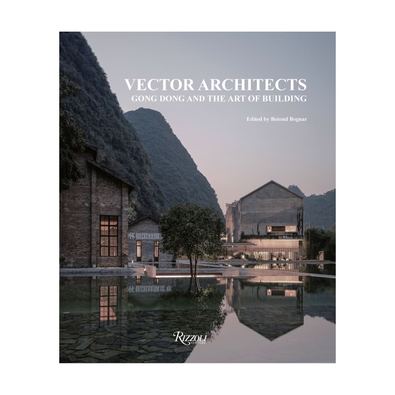 Vector Architects: Gong Dong and the Art of Building - Teşvikiye Patika ...
