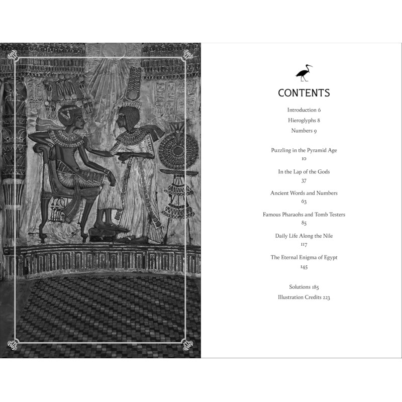 Riddle of the Sphinx: An Ancient Egyptian Puzzle Book - Teşvikiye ...