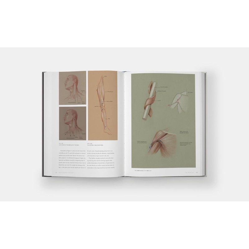 Basic Human Anatomy - Teşvikiye Patika Kitabevi