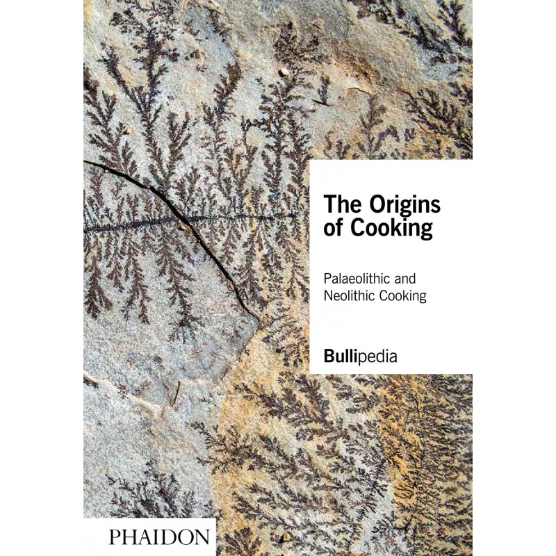 The Origins of Cooking: Palaeolithic and Neolithic Cooking - Teşvikiye ...
