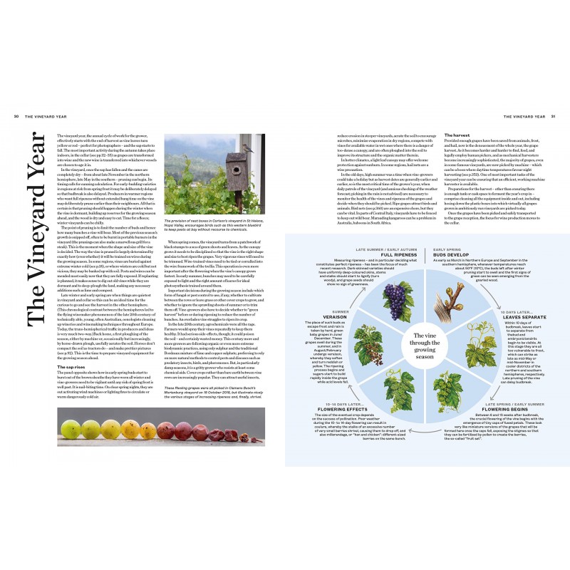 World Atlas of Wine 8th Edition - Teşvikiye Patika Kitabevi