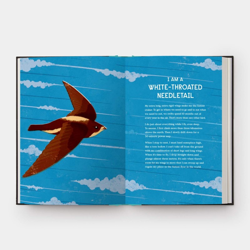 Book of Flight: 10 Record-Breaking Animals with Wings - Teşvikiye ...