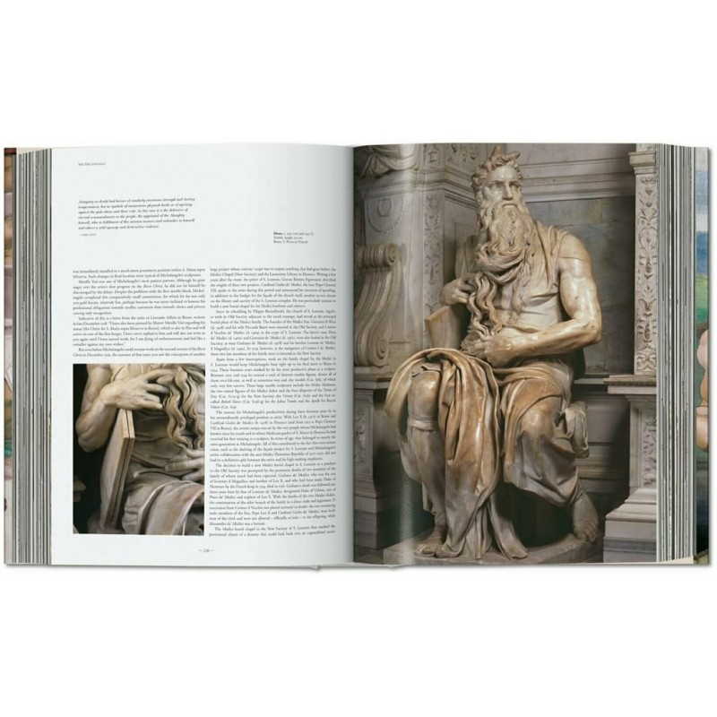 Michelangelo. The Complete Works. Paintings, Sculptures, Architecture ...