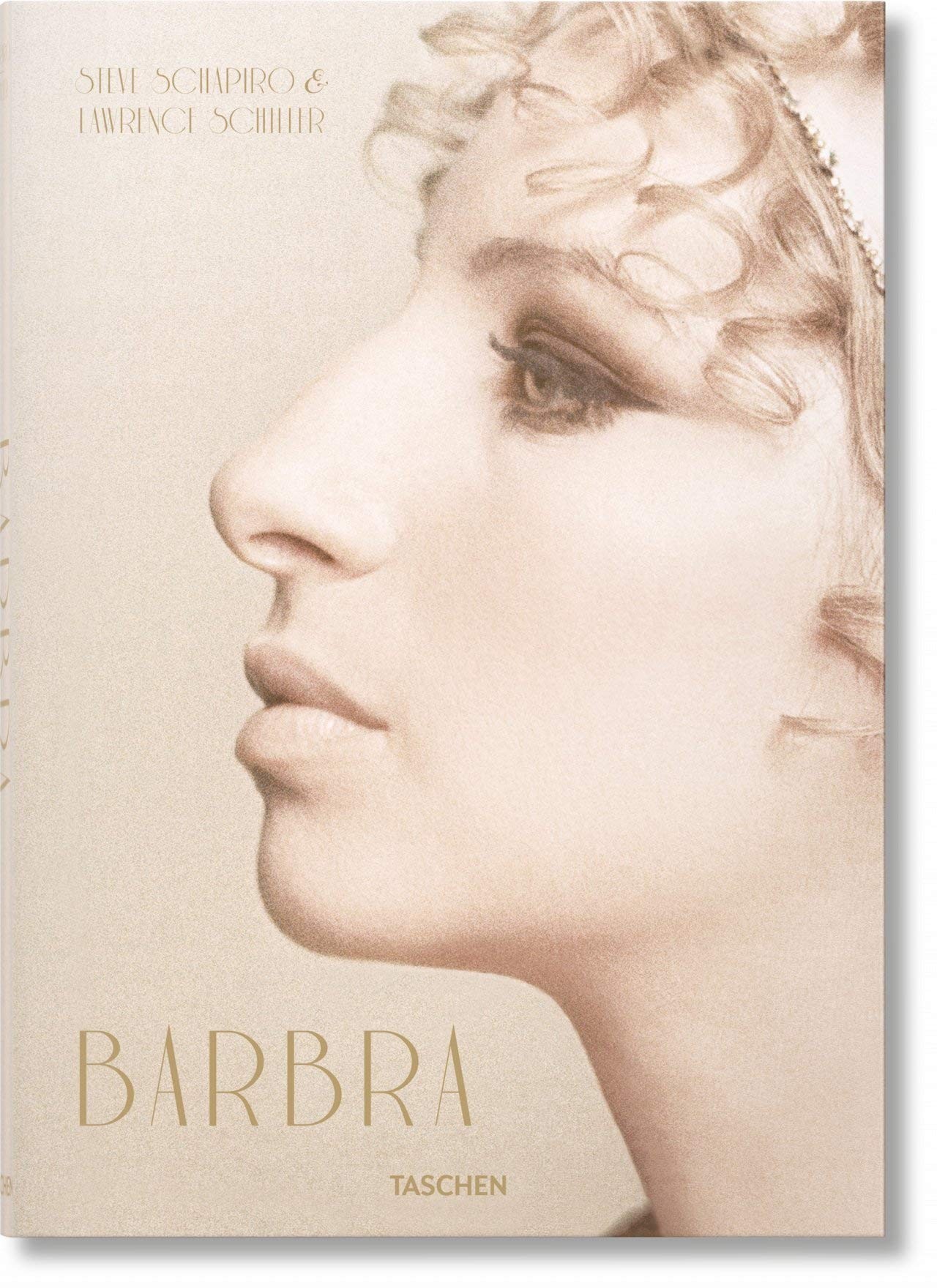 Barbra Streisand Nose